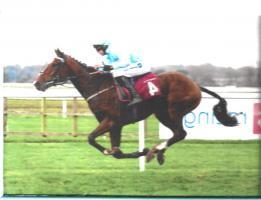 Rotary Northampton Becket - welcome.