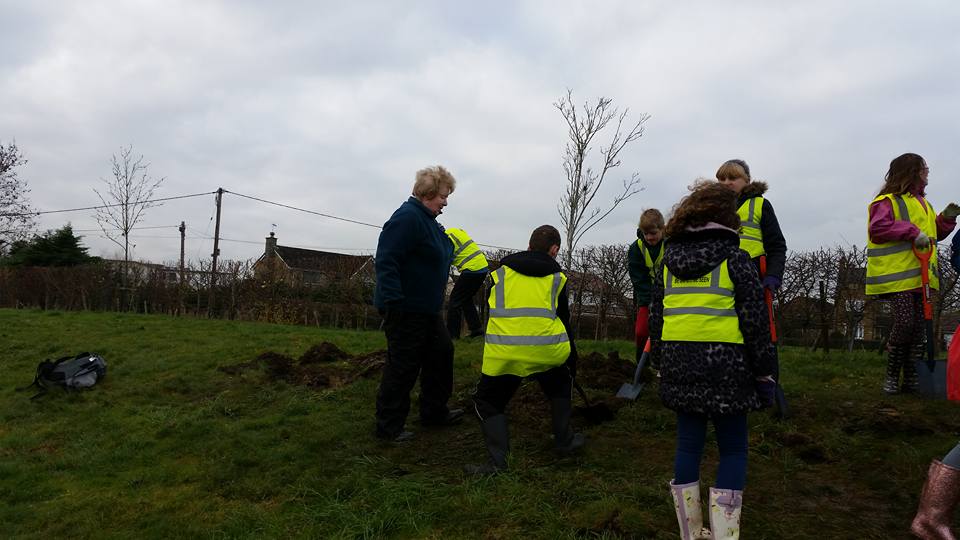 Crocus planting with Forest and Sandridge school - Rotary District